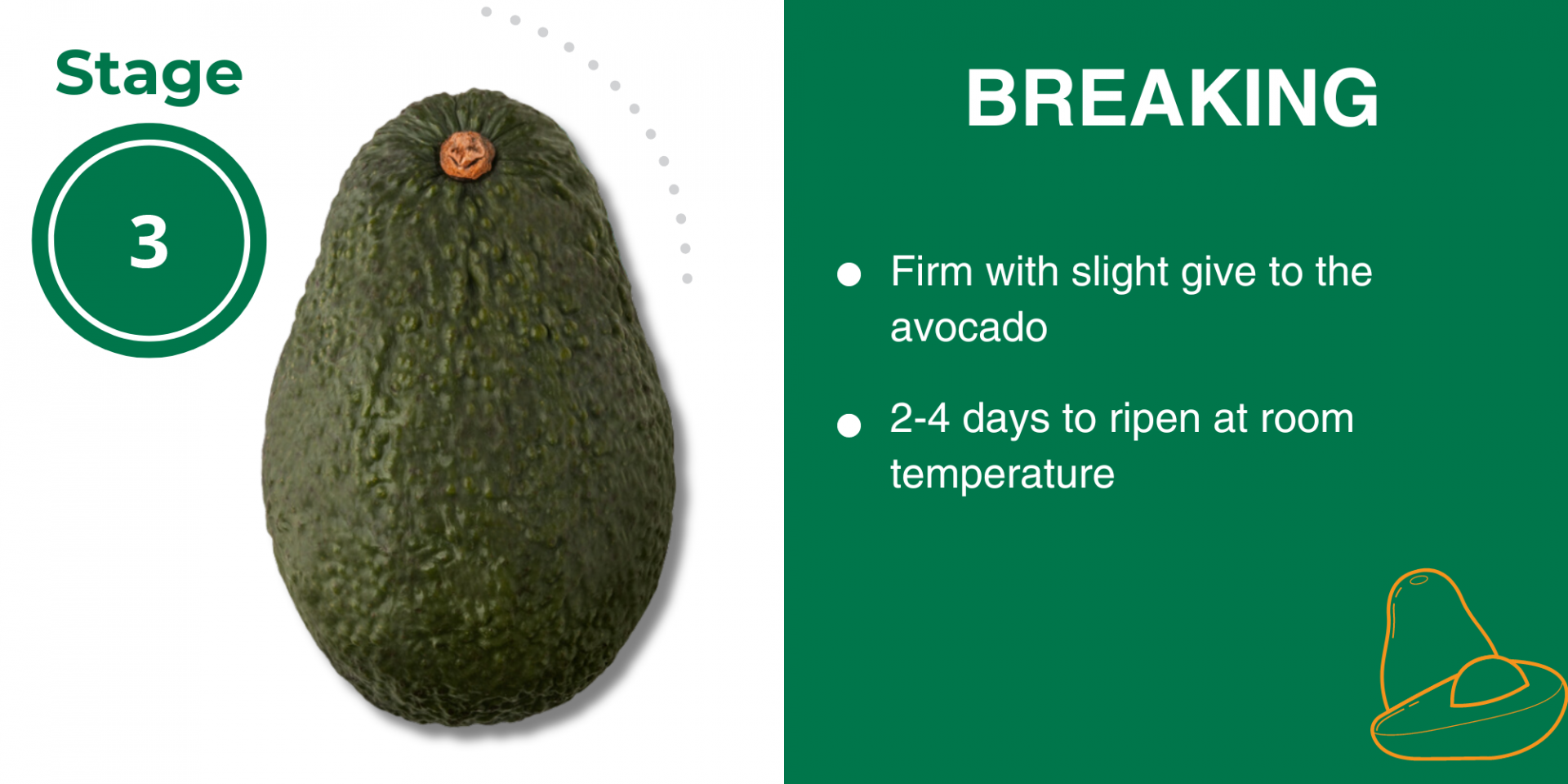 Ripening Solutions – Gambles Produce