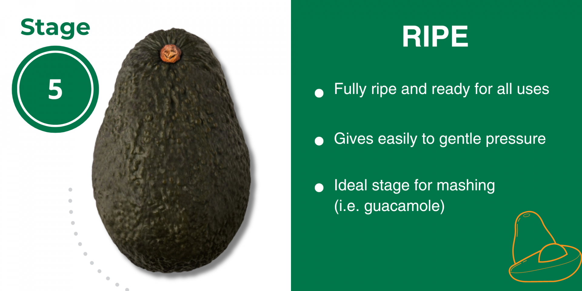 Ripening Solutions – Gambles Produce